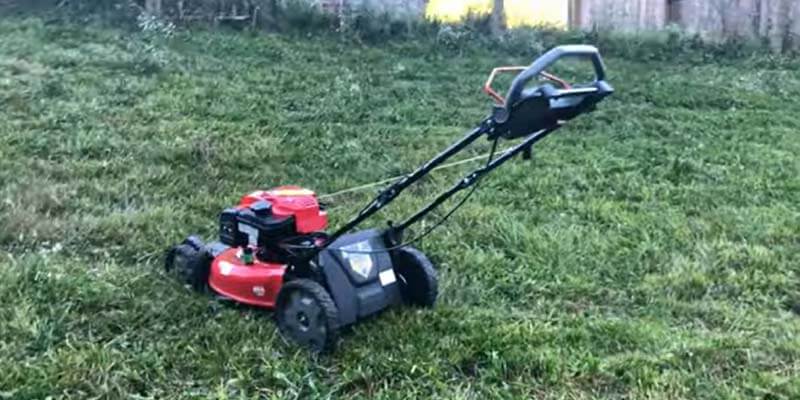 The 6 Best Rear Wheel Drive Self-Propelled Lawn Mower